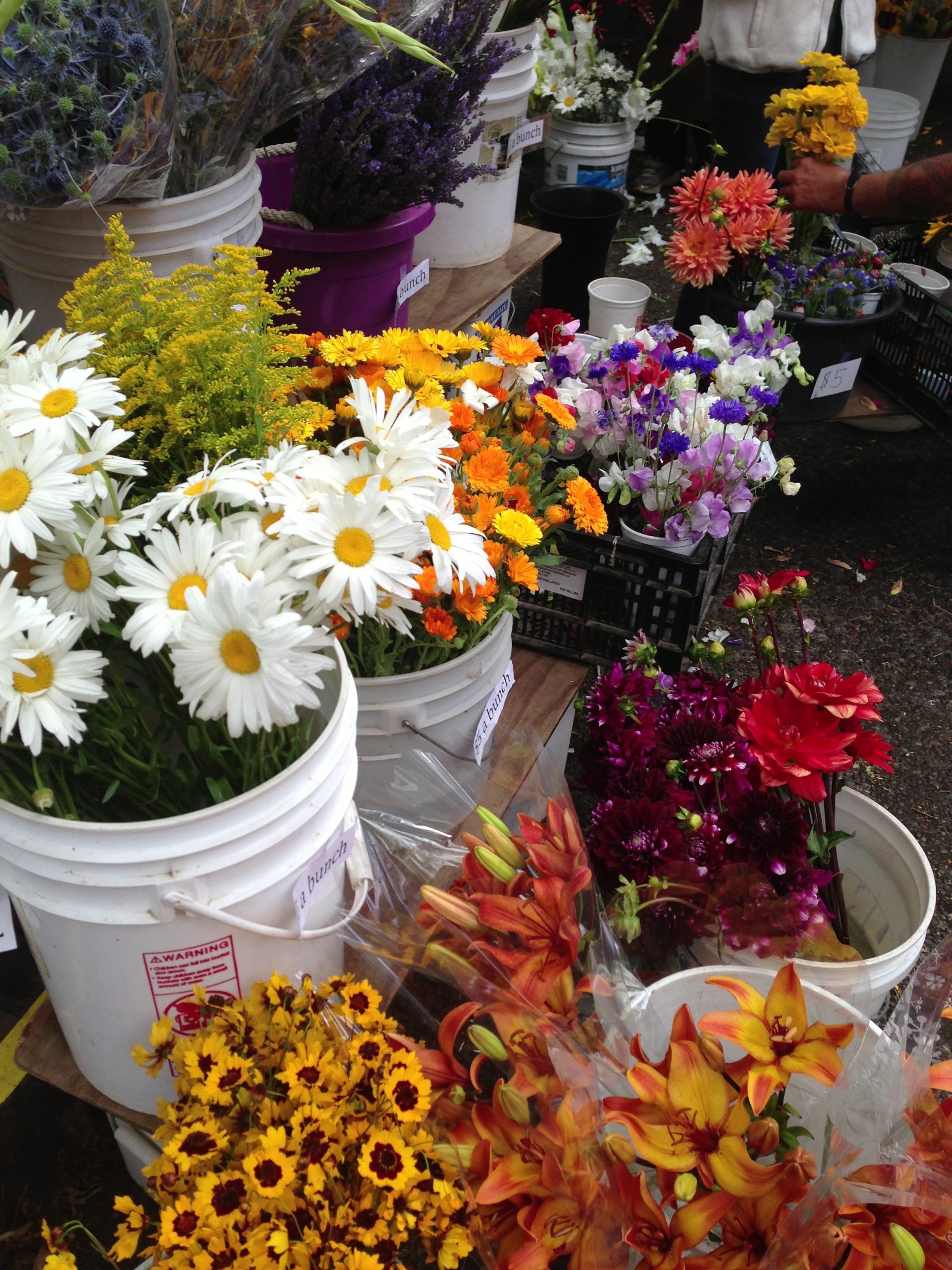 Best Farmers Markets Worth Visiting in the USA • GrownUp Dish