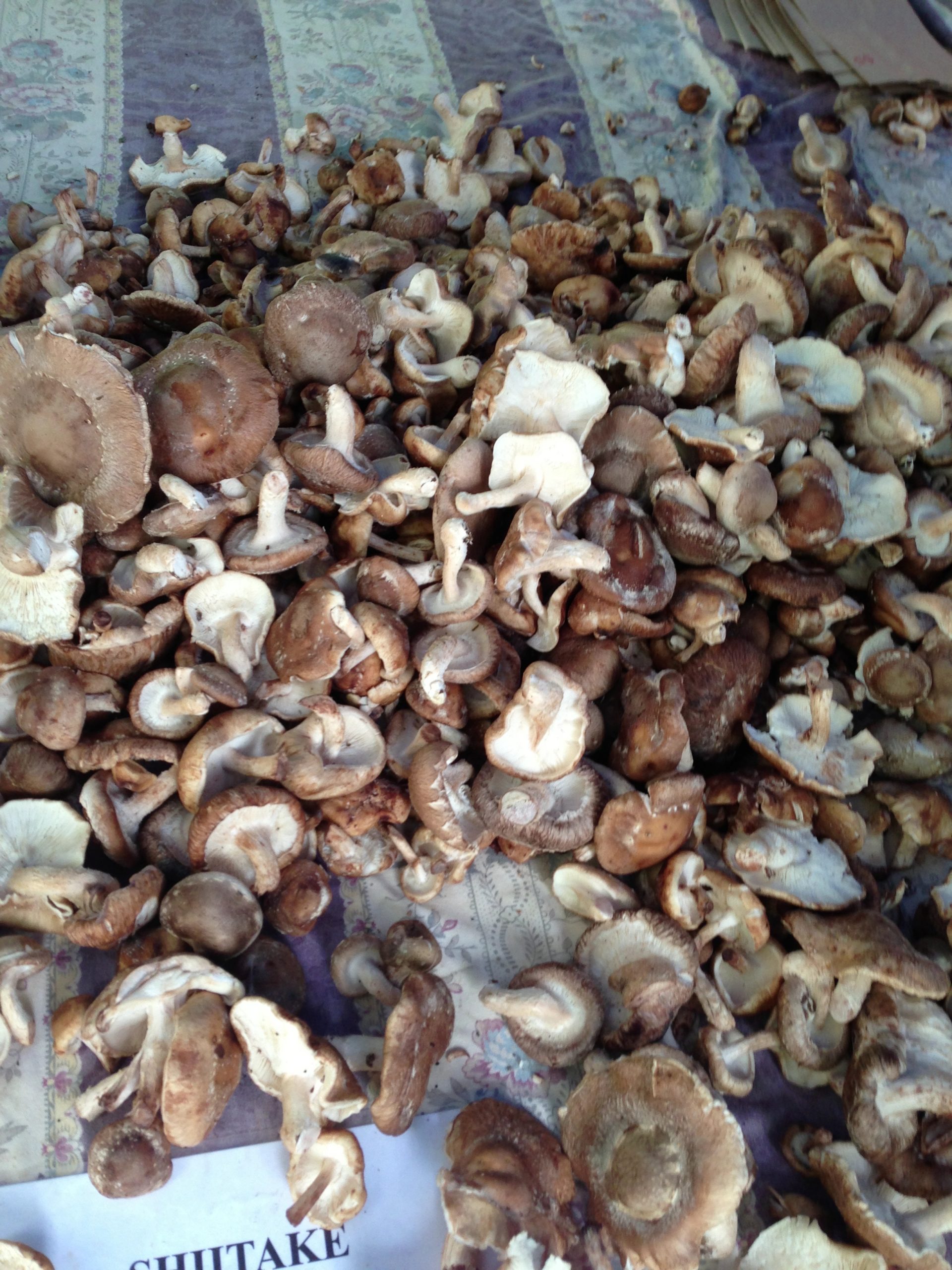 Best Farmers Markets Worth Visiting in the USA • GrownUp Dish